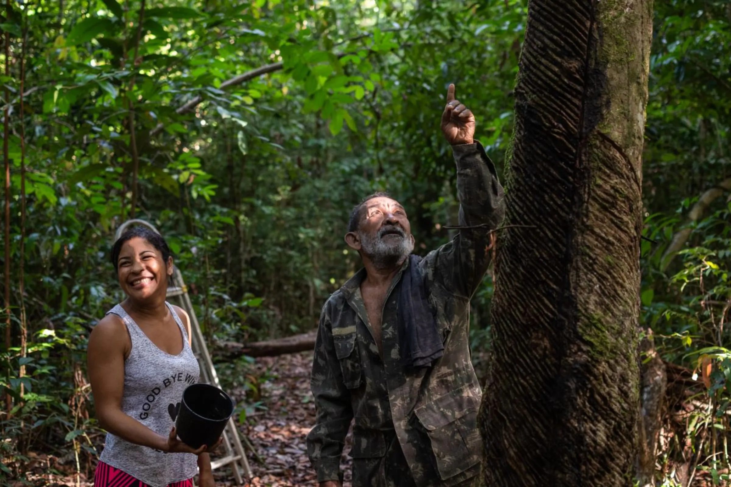 In Brazil's Amazon, Pará bets on bioeconomy to beat deforestation | Context