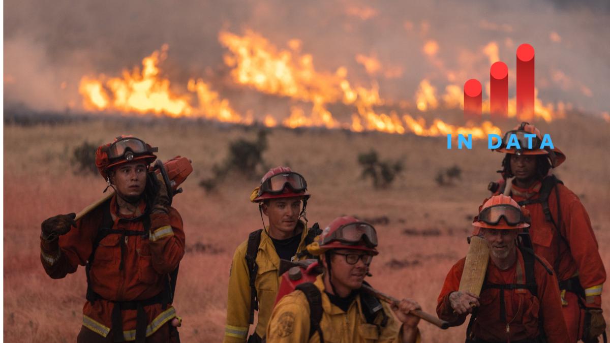 In Data: Fires are accelerating global forest loss | Context by TRF