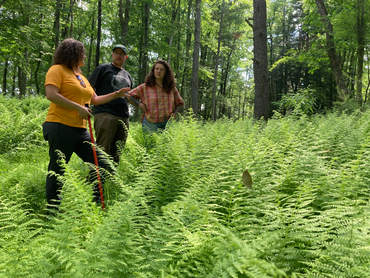 Small-scale forest landowners gain hold in U.S. carbon markets ...