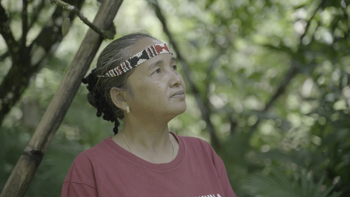 Indigenous Ngata Toro seek larger role in Indonesia national park ...