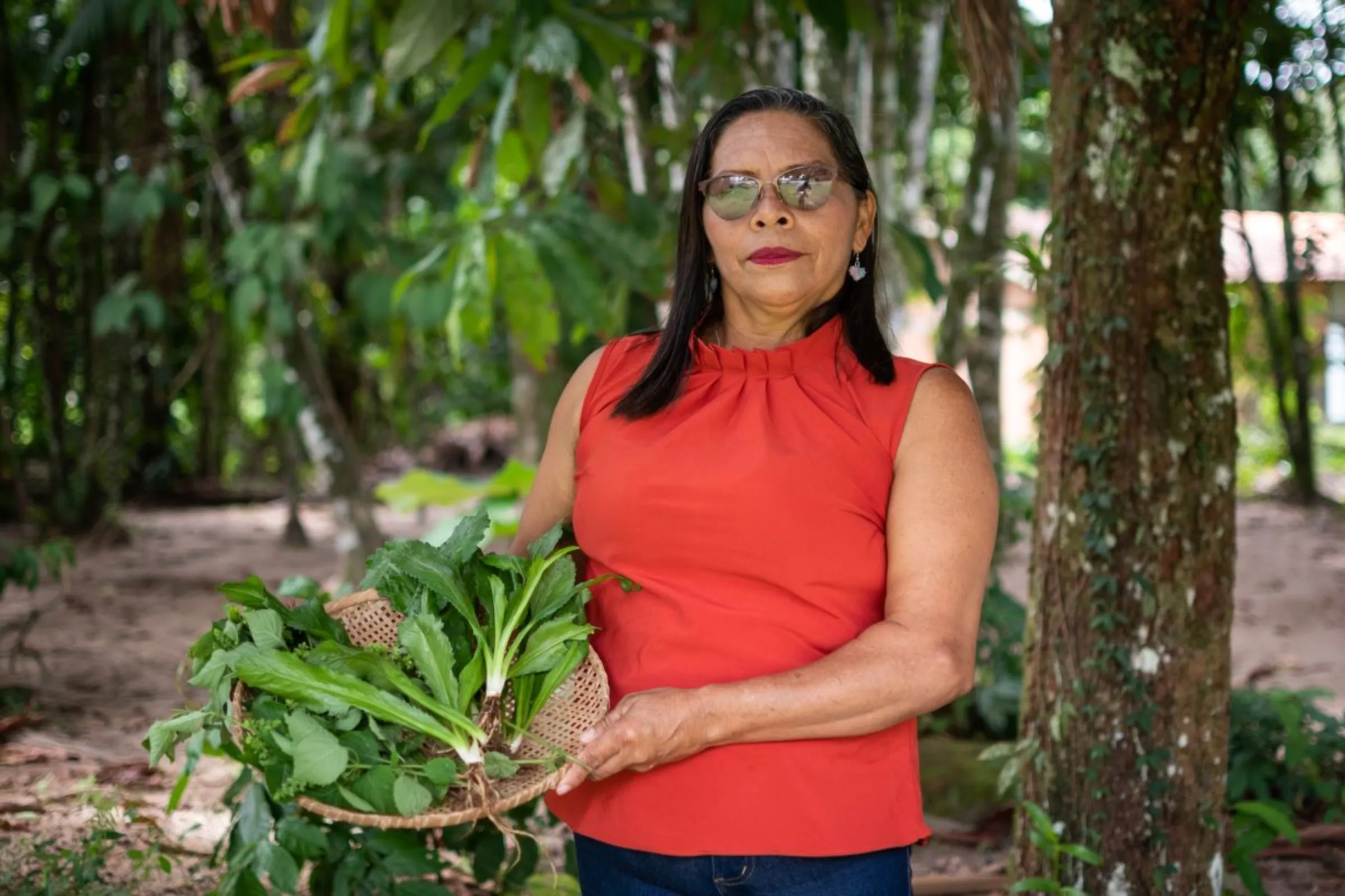 In Brazil's Amazon, Pará bets on bioeconomy to beat deforestation | Context