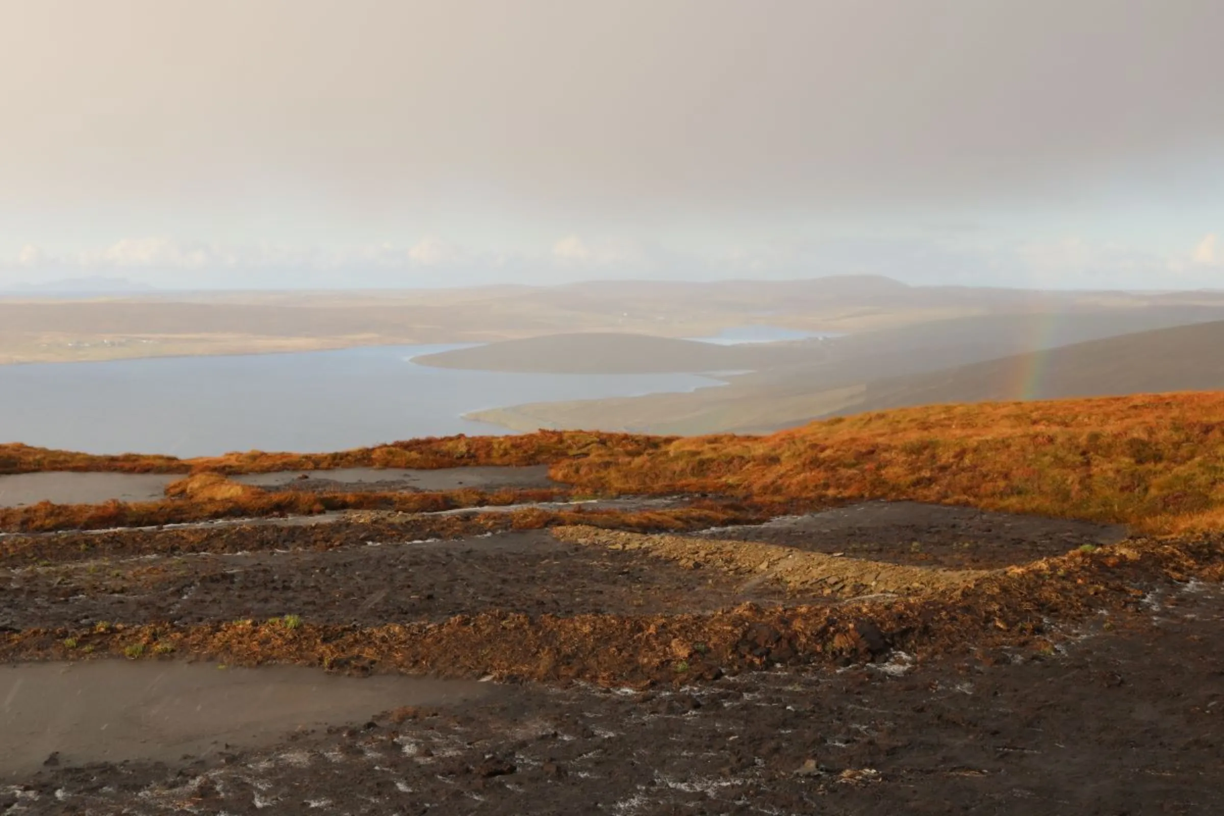 Once a dirty fuel, Shetland nurtures peat's climate superpower | Context